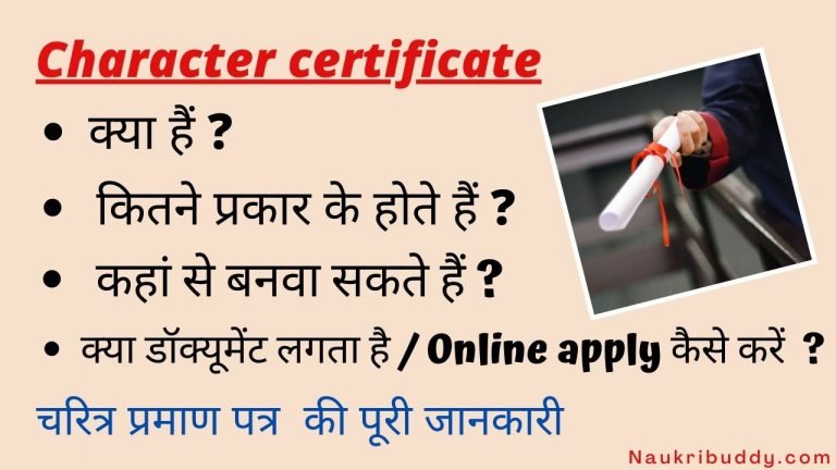 Character Certificate In Hindi character-certificate-in-hindi
