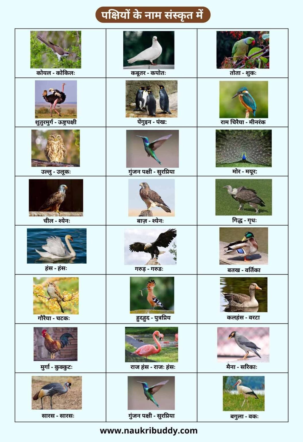 51 Birds Name in Sanskrit | Pakshiyon Ke Naam Sanskrit Mein