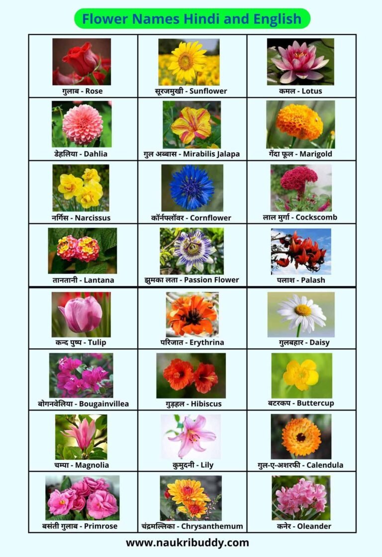 120+ Flowers name hindi and english with photo